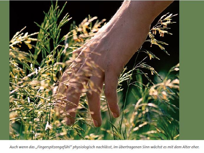 Wirtschaftsfaktor Alter: Körperliche Veränderungen verstehen: Tastsinn ...